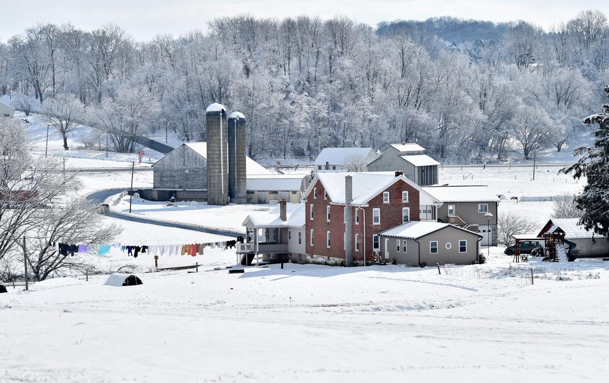 A year in photos: Lancaster County in 2019 [photos] | Local News ...