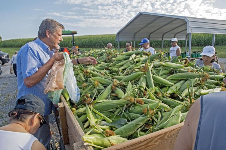 All ears at the Corn Wagon [photos] | Local News | lancasteronline.com