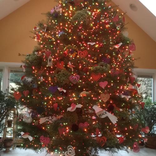 This Manheim Township man's Christmas tree is 14 feet tall, alive and ...