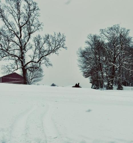 Readers share wintry sights from around Lancaster County [photos ...