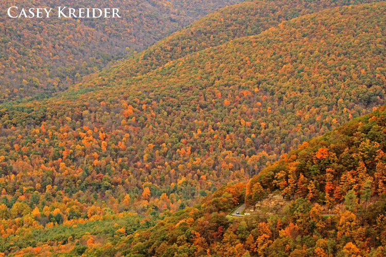 Hyner View | Blogs | lancasteronline.com