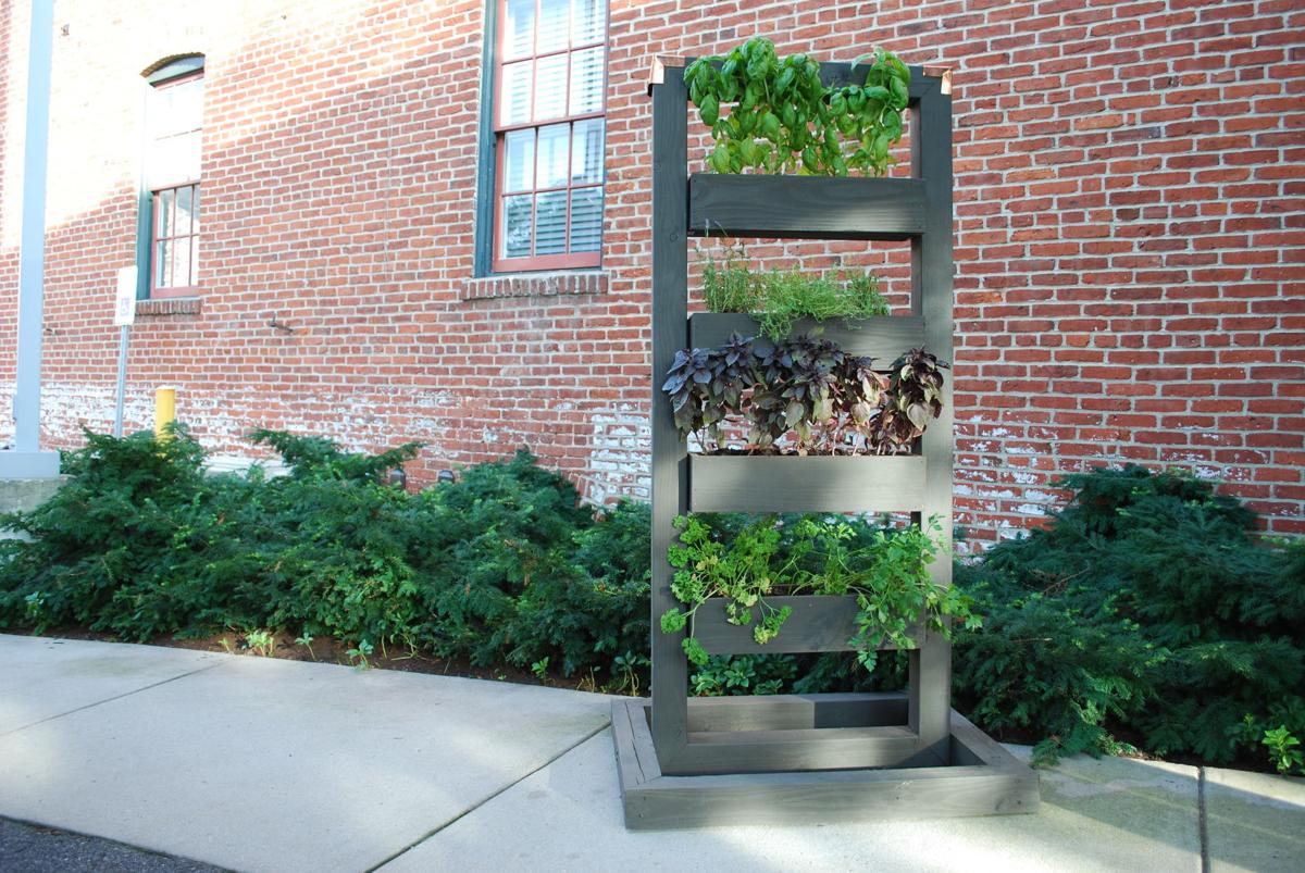 BloomBox launches in Lancaster with subscription-based plant delivery ...