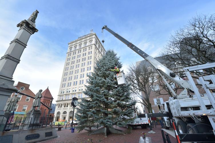 Christmas tree arrives in downtown Lancaster city [photos] | Local News ...
