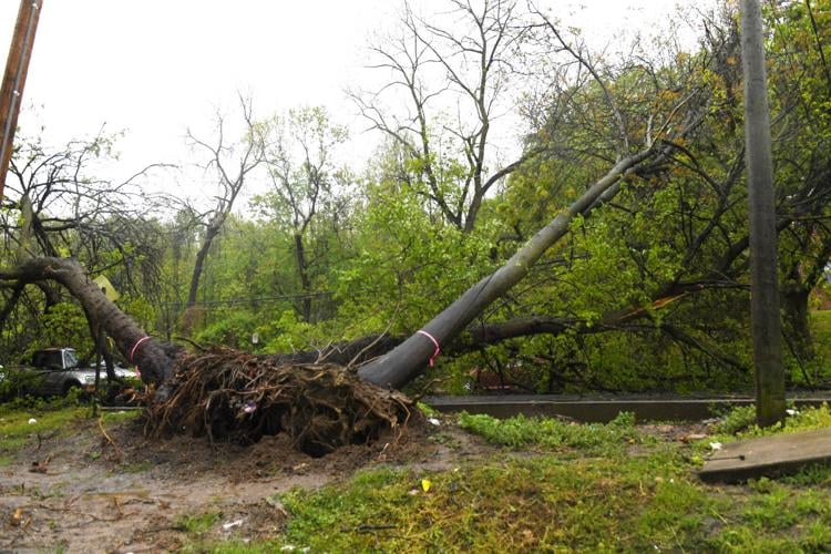 Trees down mid-day Sunday, blocking road in Lancaster city [update ...