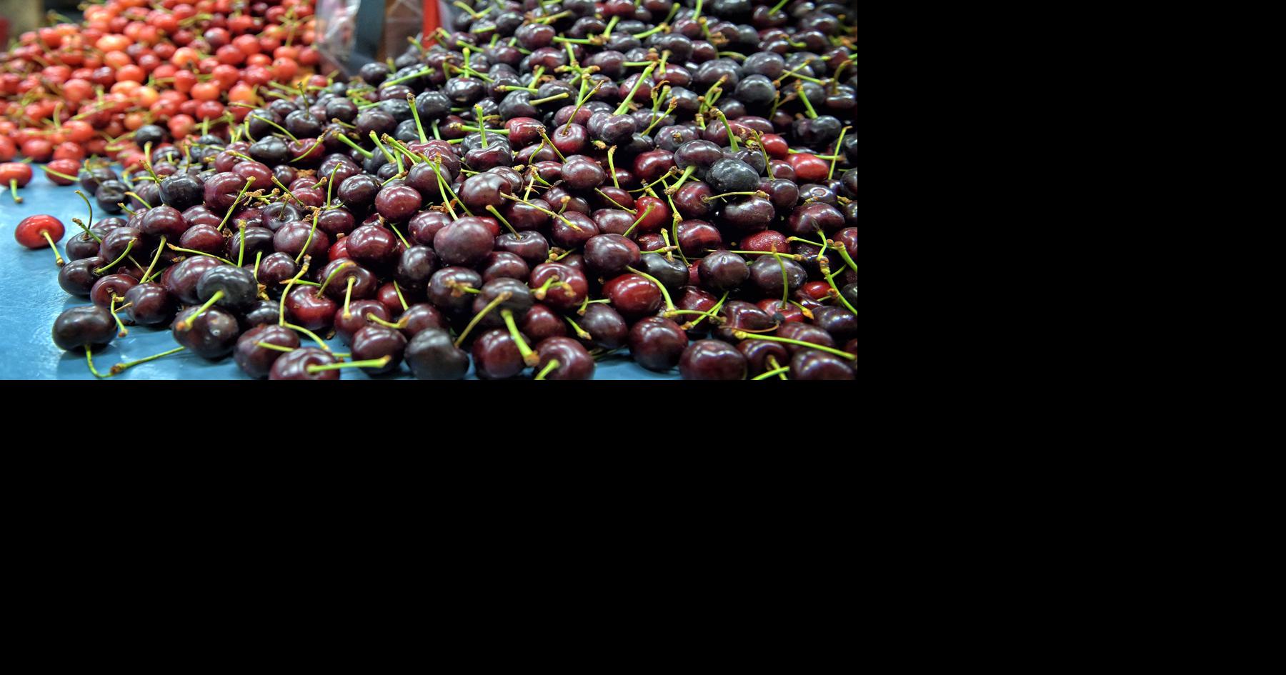 Here is where and when to pick cherries in Lancaster County | Life ...