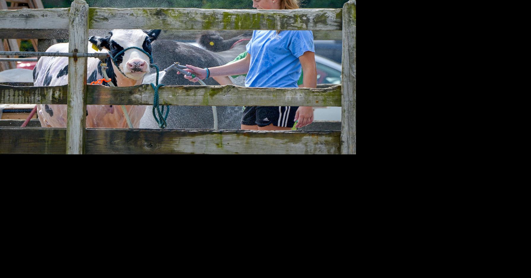 Solanco Fair 2019 starts Wednesday with a parade; here's your fair ...