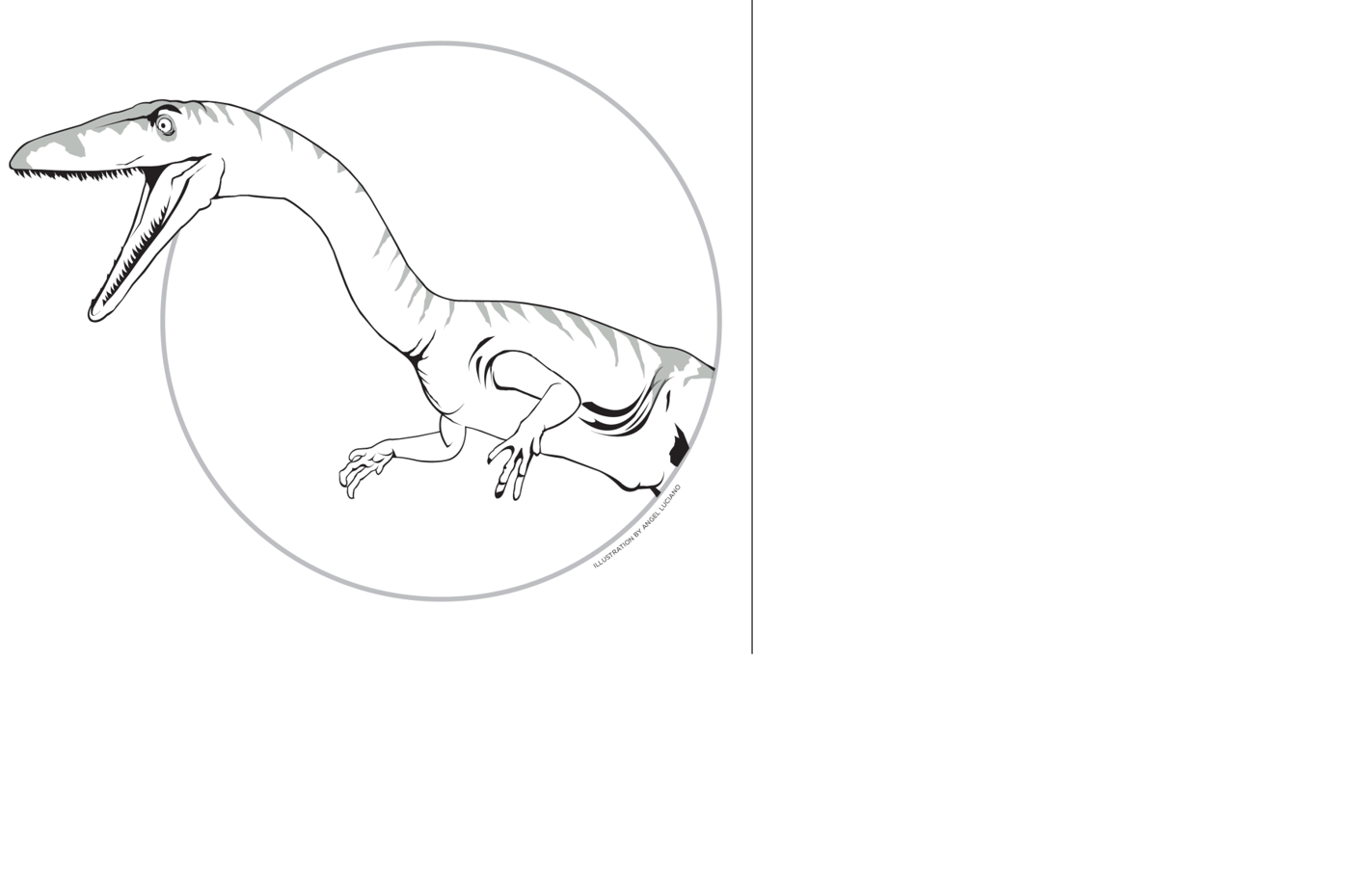 coelophysis coloring pages