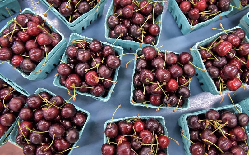 A bumper crop of cherries in Lancaster County; plus where to pick your ...