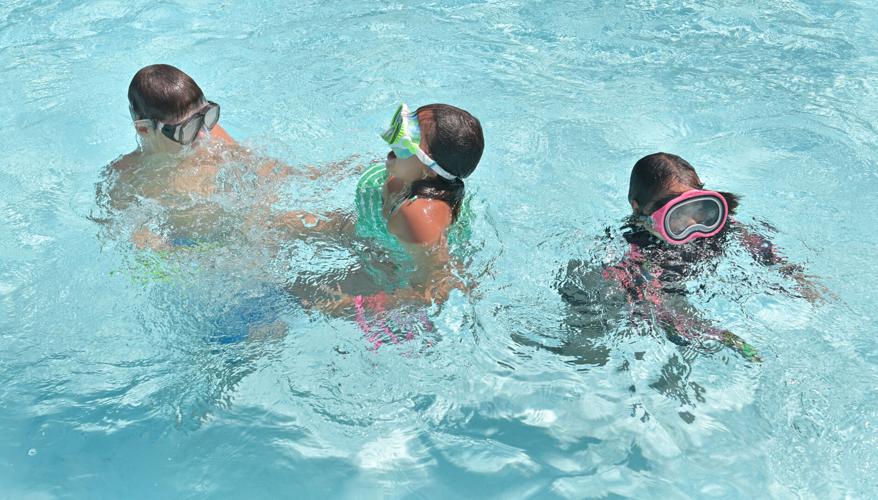 Conestoga Pines Pool [photos] | | lancasteronline.com