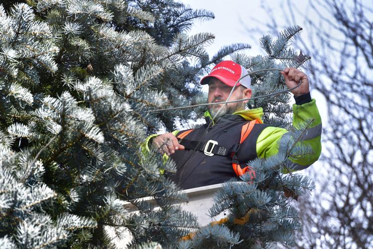 Christmas tree arrives in downtown Lancaster city [photos] | Local News ...