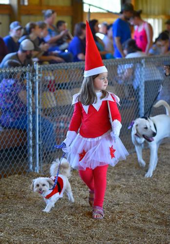 21 photos from the West Lampeter Fair | Local News | lancasteronline.com