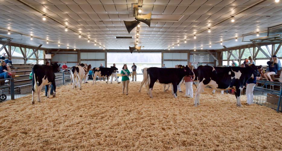 A look at the Solanco Fair [photos] | News | lancasteronline.com