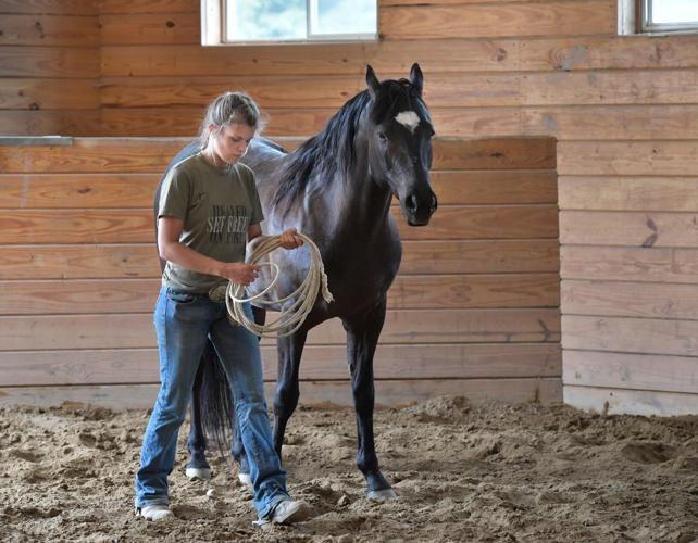 Weber family farm to become the 35,000th preserved acreage in Lancaster ...