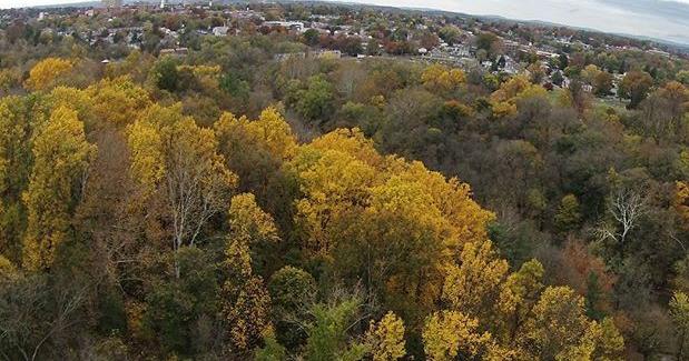 When is the first day of fall 2020? | Local News | lancasteronline.com