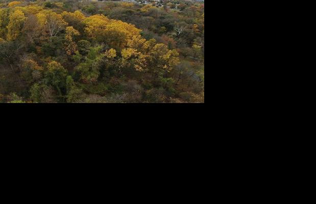 When is the first day of fall 2020? | Local News | lancasteronline.com