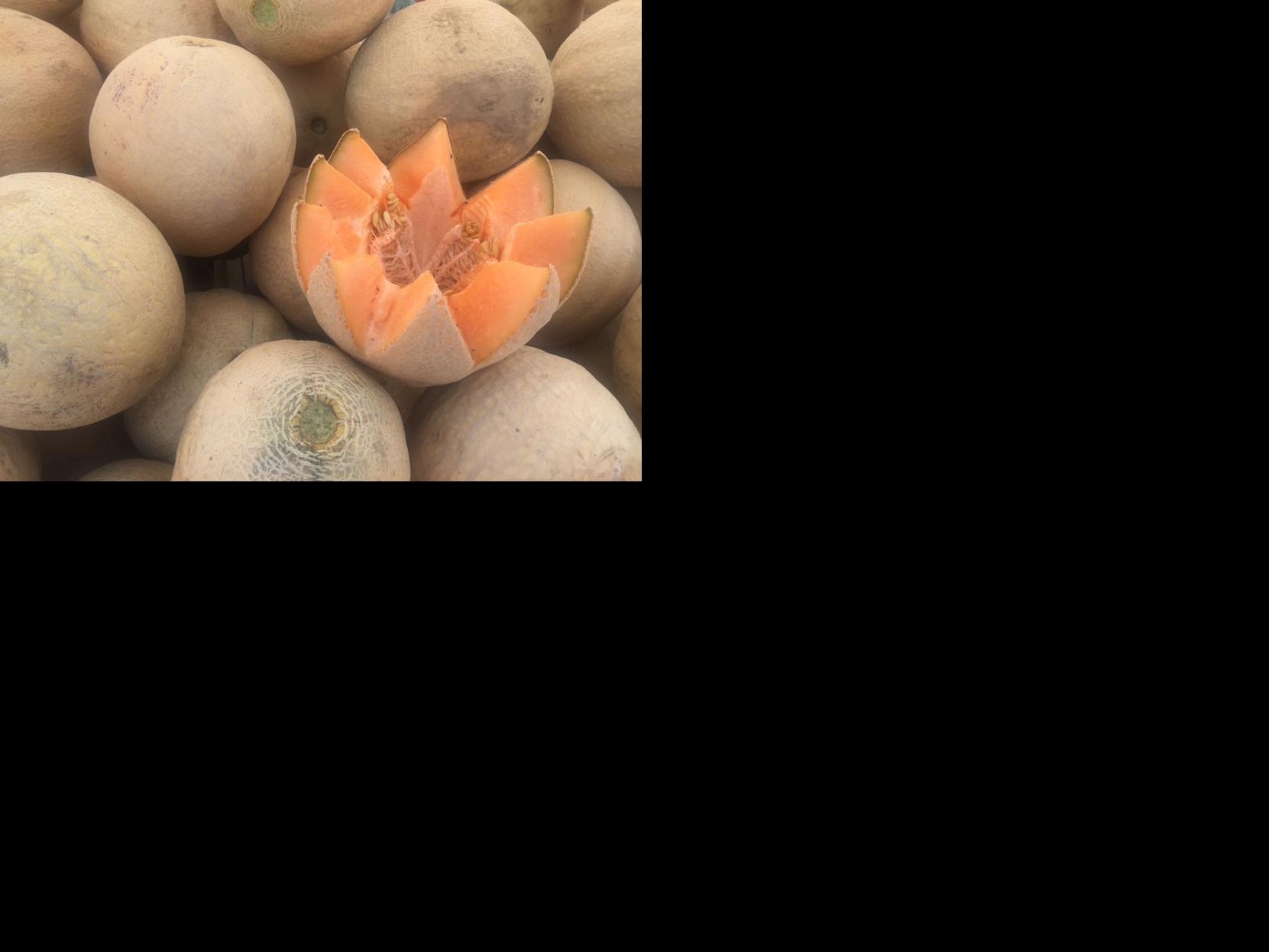 Is that really cantaloupe? 5 melon varieties you might not know | Food ...