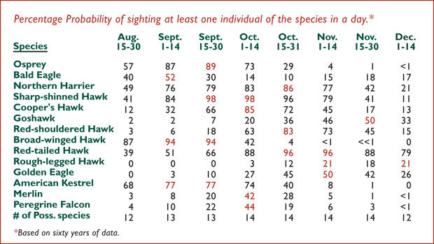 Make your own hawk watch | Outdoors | lancasteronline.com