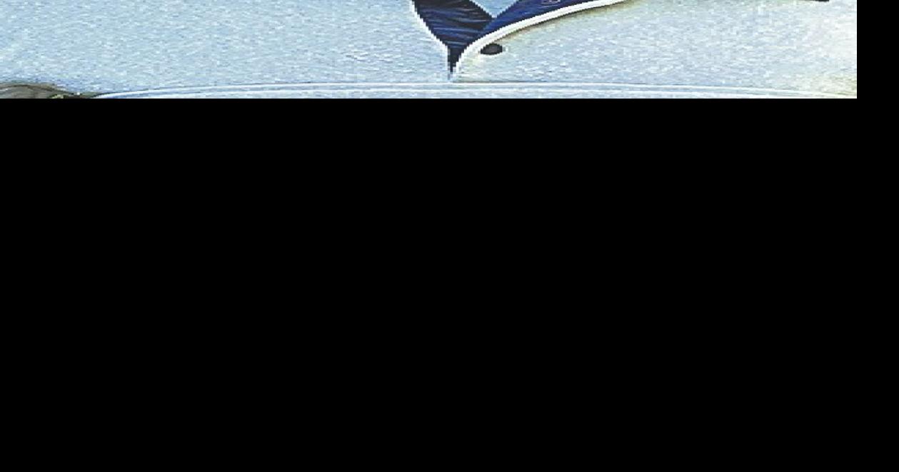 Tom Stauffer | Obituaries | lancasteronline.com