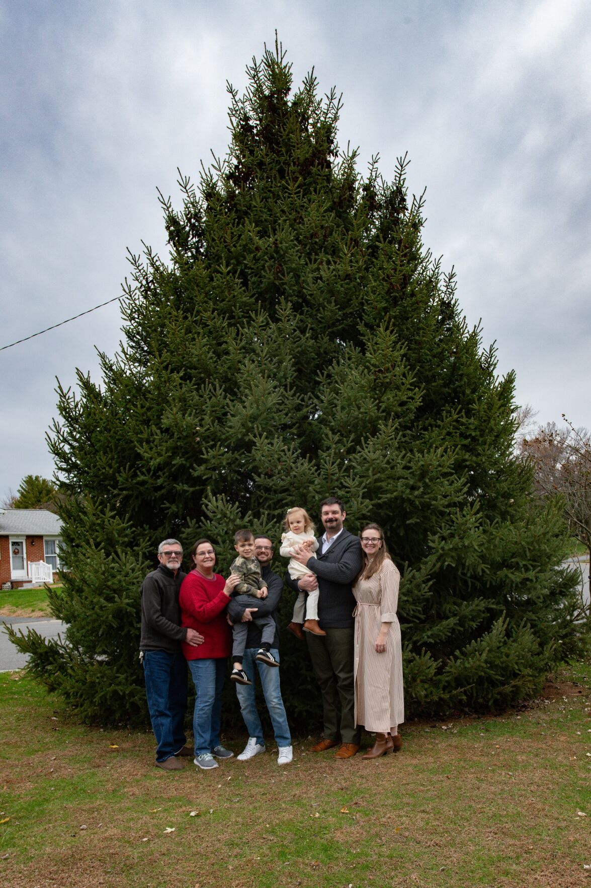 Meet the 2025 Lancaster city Christmas tree | Local News ...