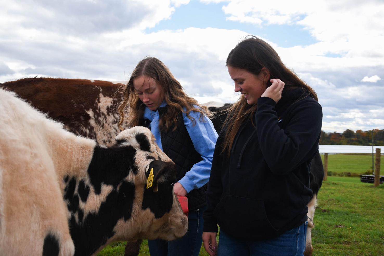 Bomgardner sisters keep the dream of farming alive for the next ...
