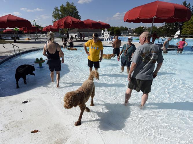 Lititz Springs Park beats the heat with doggie swim [photos] | Local ...