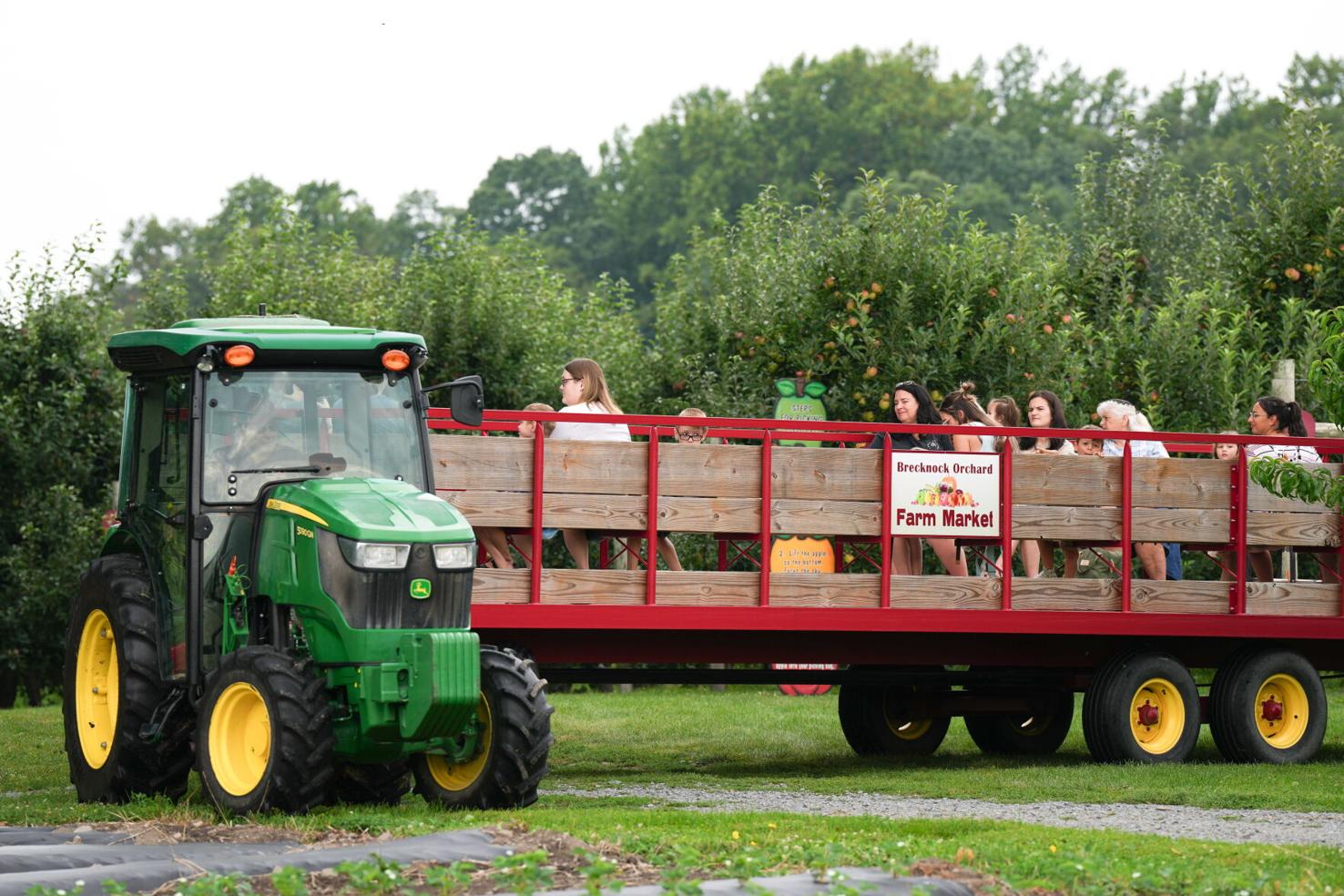 Annual John Deere Days celebrates classic tractor at Rough and Tumble ...