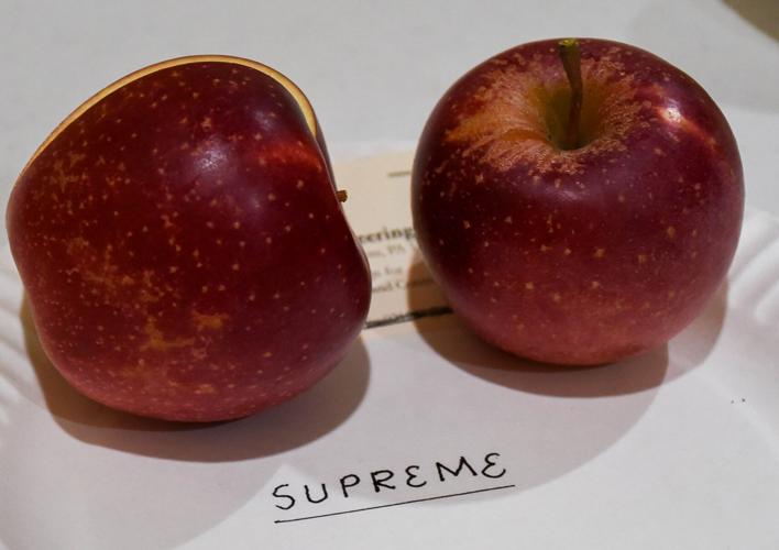 5 standouts from a fall apple-tasting party featuring fruit grown in ...