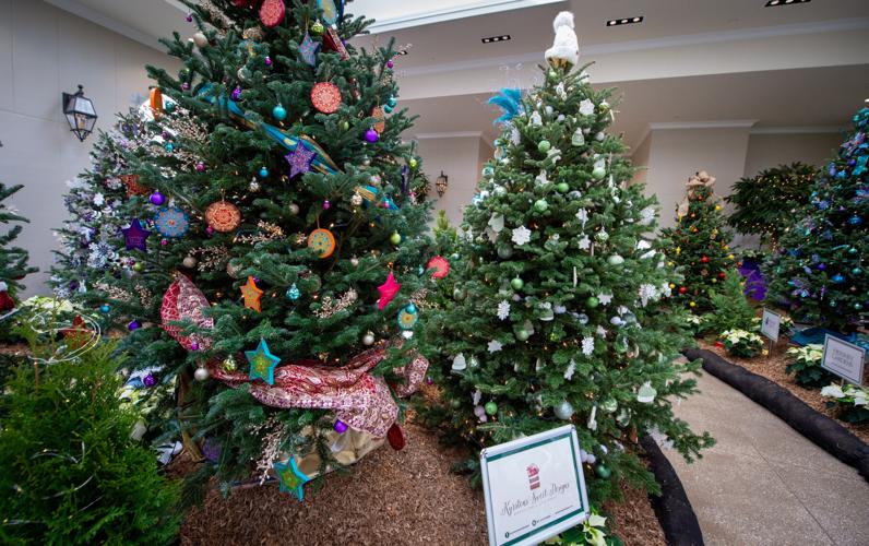 Take a look at this year's Hershey Gardens’ Christmas Tree Showcase ...