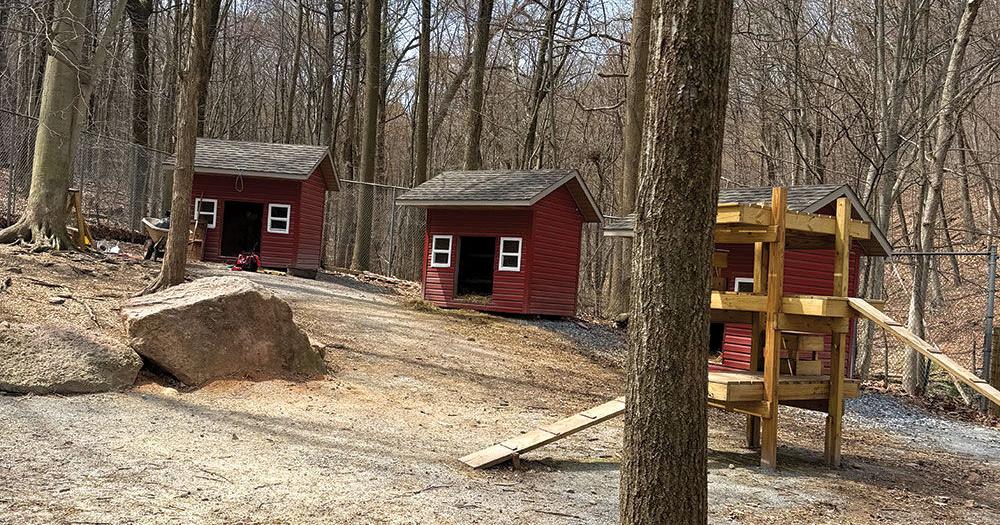 Pretzel Hut Petting Zoo | | lancasteronline.com