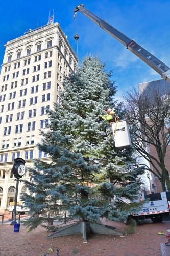 Christmas tree arrives in downtown Lancaster city [photos] | Local News ...