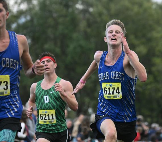 2025 L-L League cross country championships [photos] | High School ...
