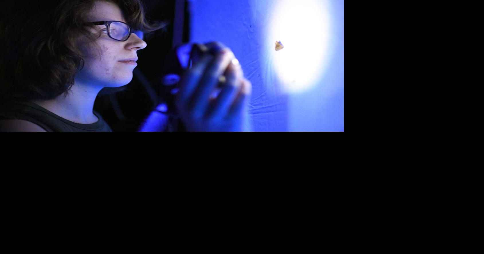 Inside a nighttime moth hunt; Plus how to create your own [photos ...