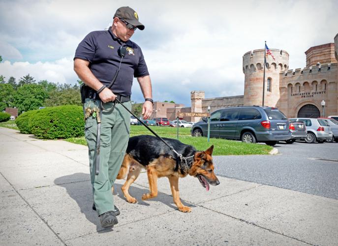 Prison K-9 shifts into retirement after a decade | Local News ...