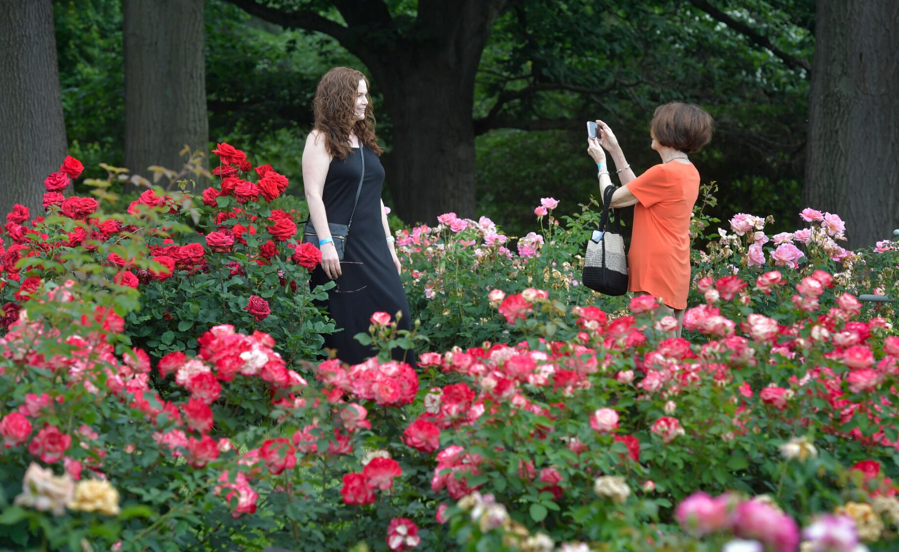 2025 guide to gardens in the Lancaster County region. | Home & Garden ...