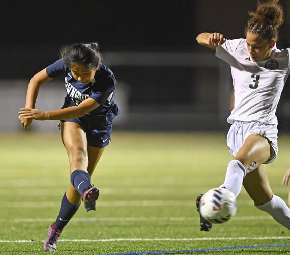 Manheim Township vs. Central Dauphin - District 3 Class 4A girls soccer ...