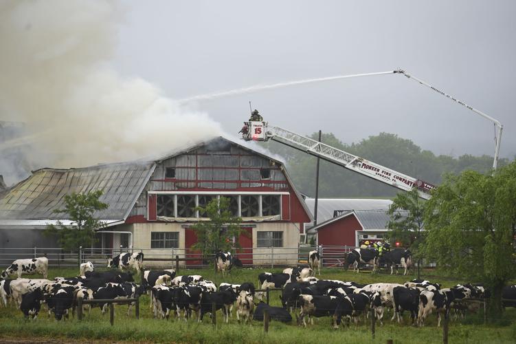 Clay Township dairy barn fire causes $350K damage | Local News ...