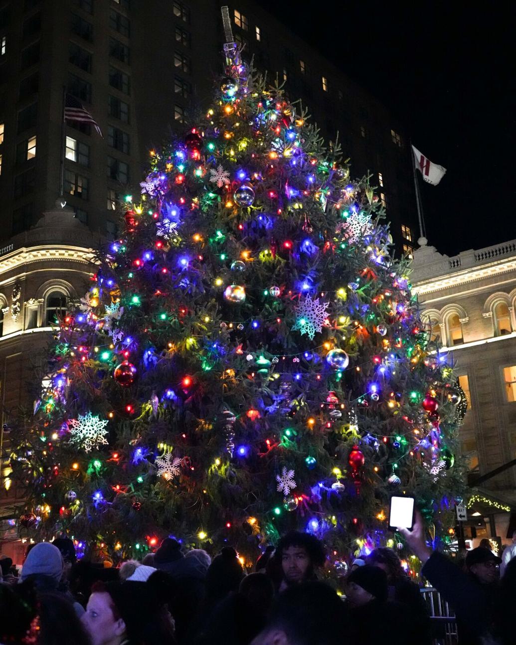 Wanted: a tall evergreen for Lancaster's 2024 Christmas tree | Home ...