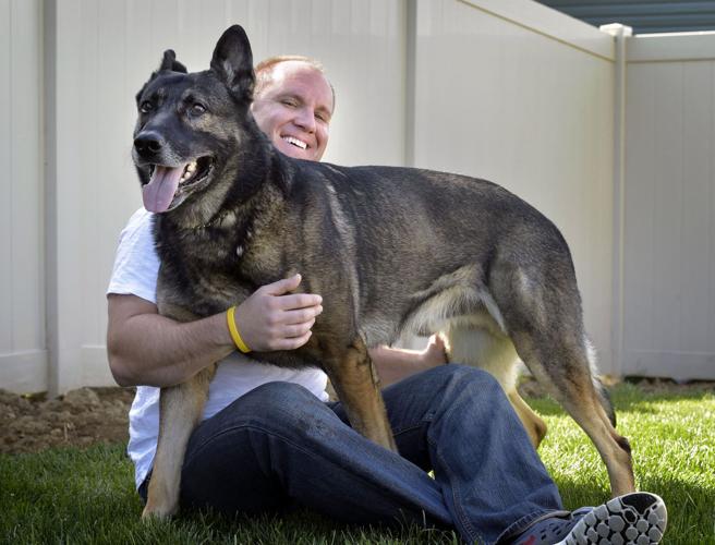 Police dog hangs up his badge, will spend retirement at his partner's ...