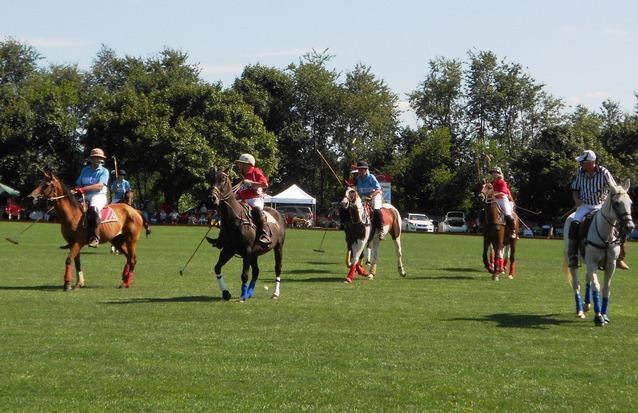 Rothsville car show, polo match offer wee taste of Britain | News ...