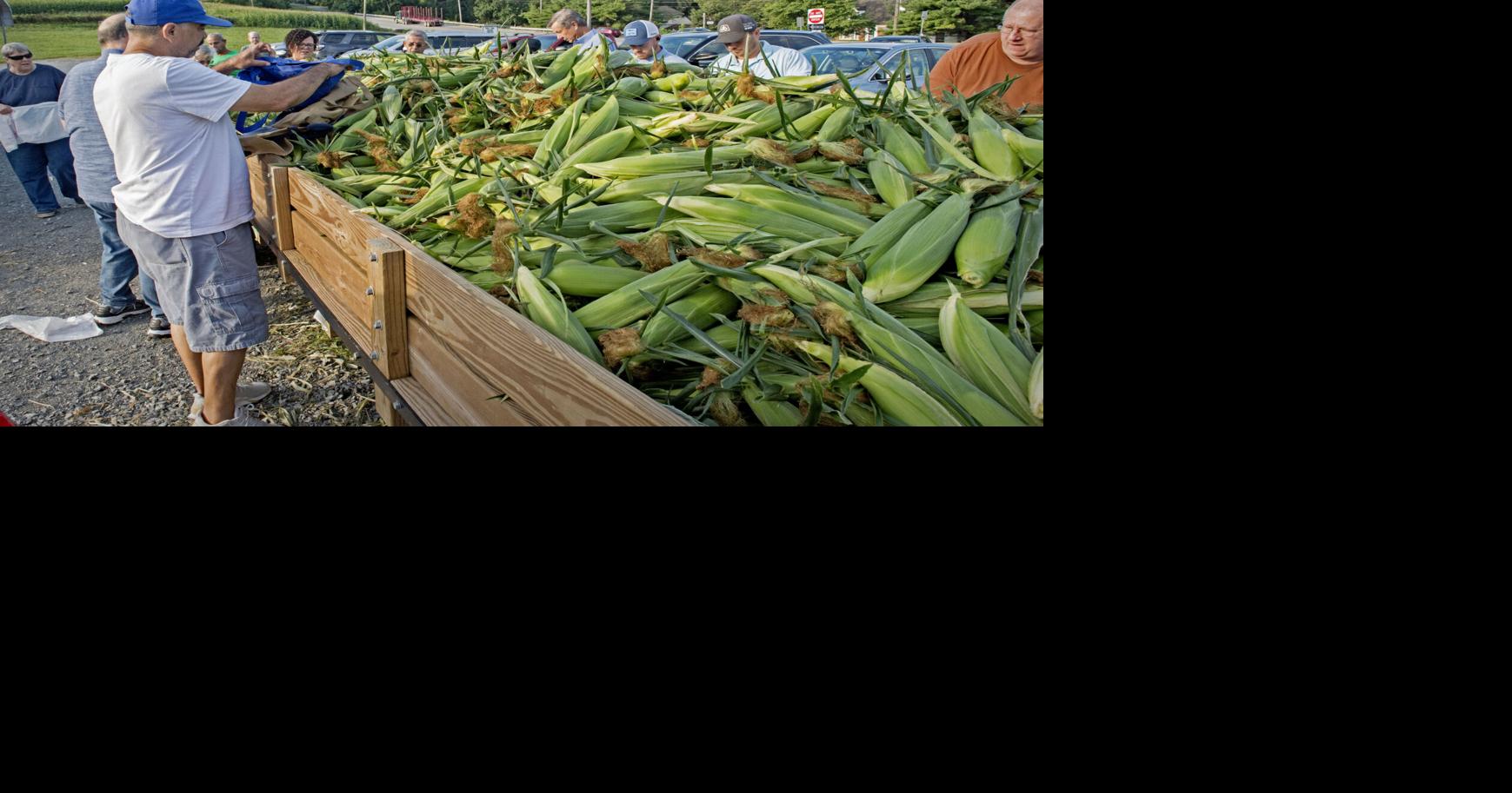 The Corn Wagon is back for the 2023 sweet corn season | Food | lancasteronline.com