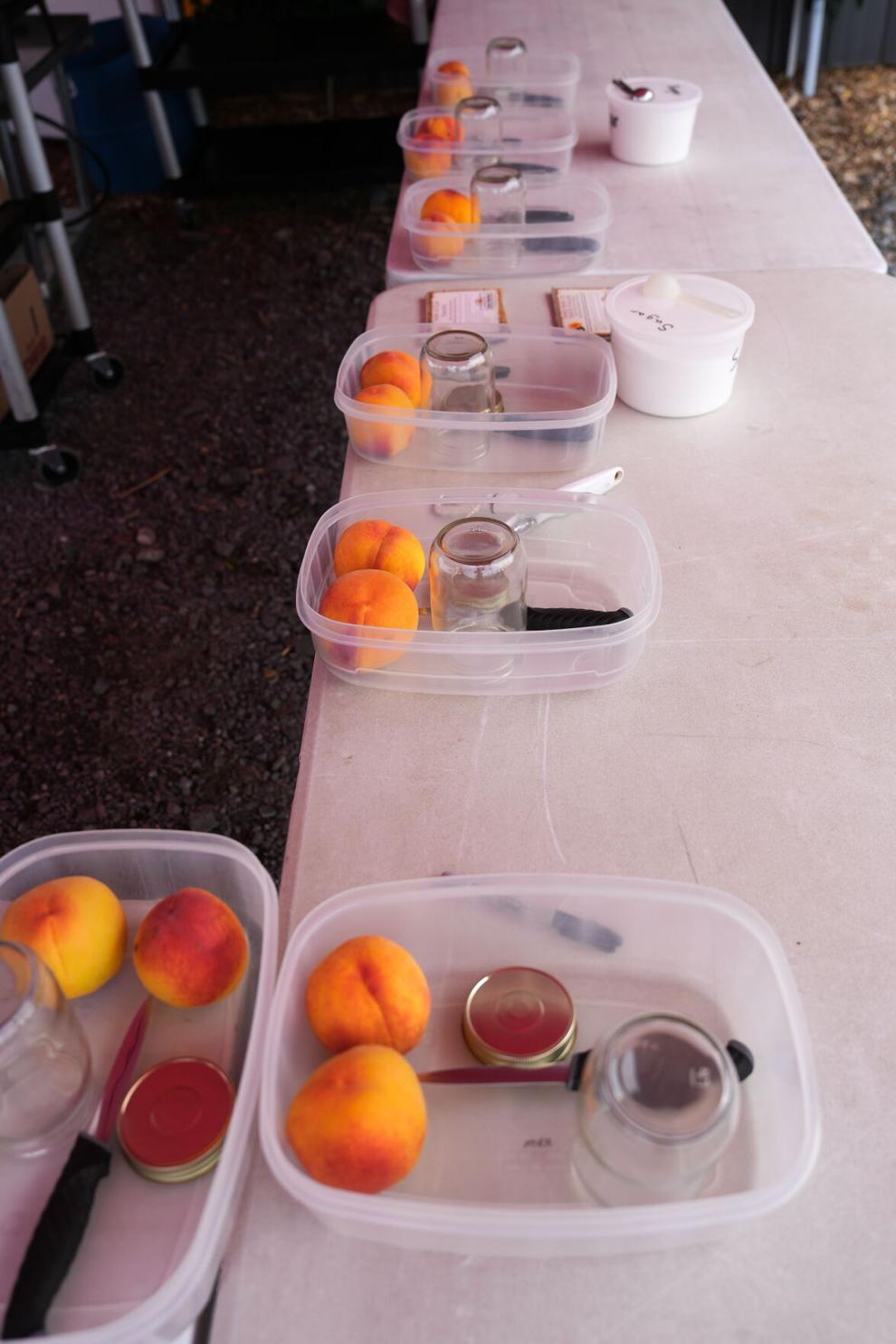 Celebrate summer with these food tasting events and beer festivals ...