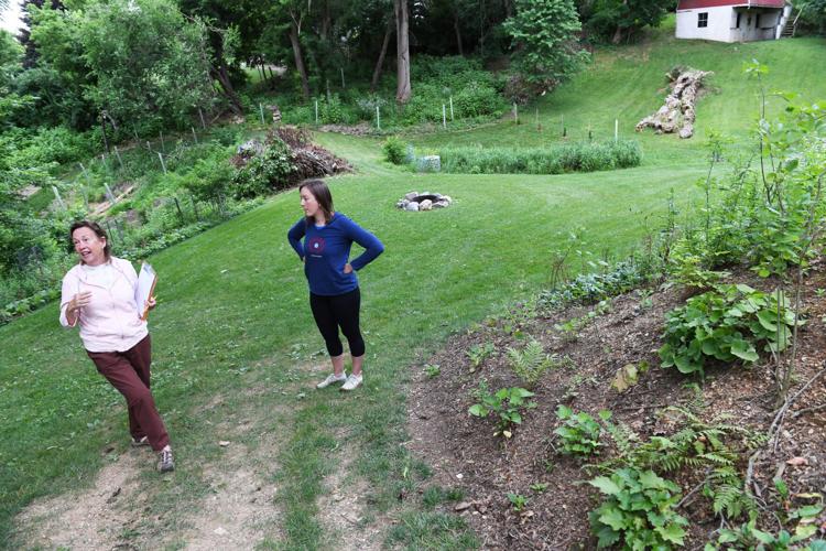 Landscaping assessment at Leah Robb's home [photos] | Home & Garden ...