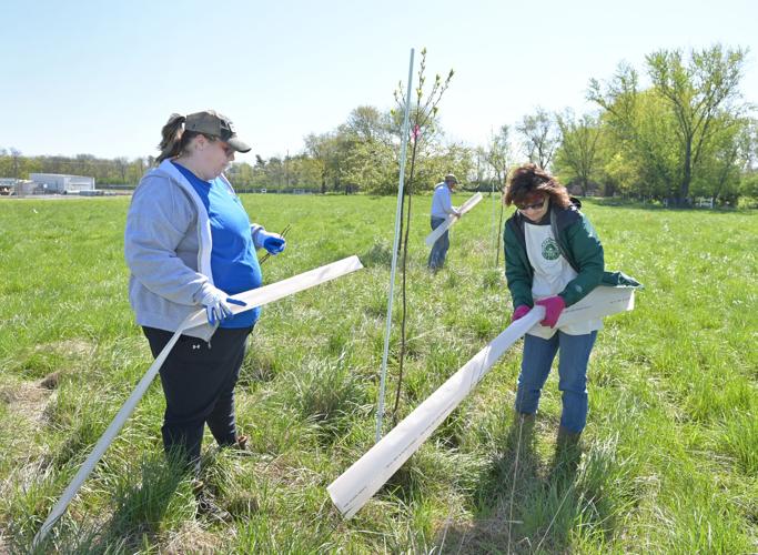 Lancaster Farmland Trust volunteers plant trees to celebrate Earth Day ...