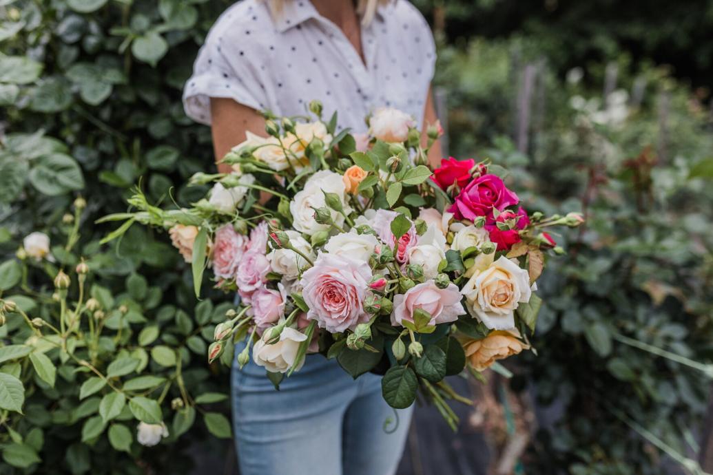 Lancaster County growers love growing these plants | Home & Garden ...