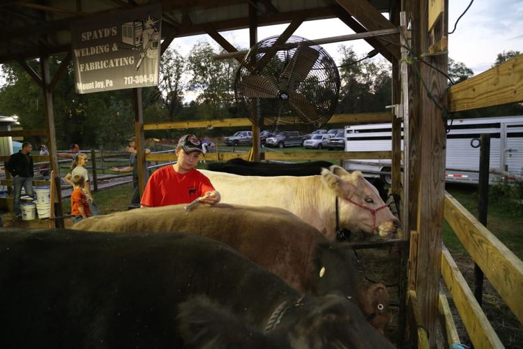 Manheim Fair baby parade results | Local News | lancasteronline.com
