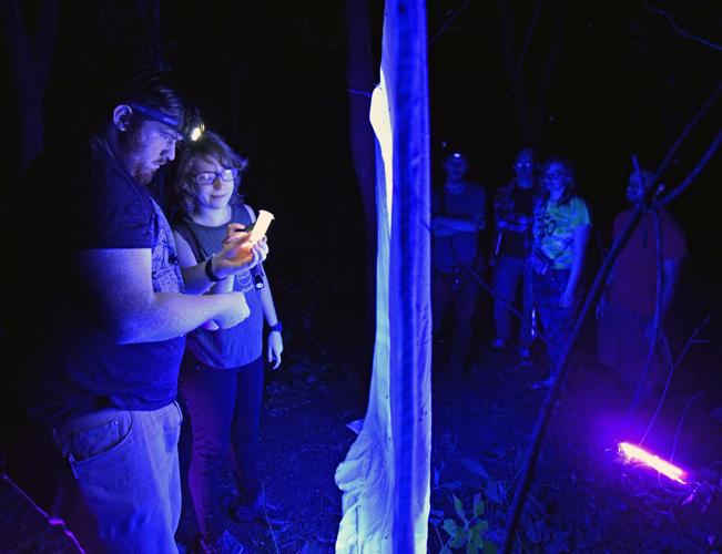 Inside a nighttime moth hunt; Plus how to create your own [photos ...