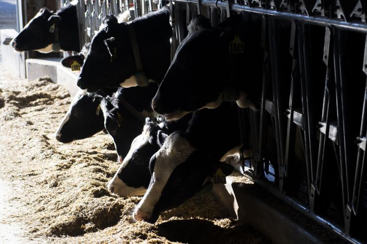 Take a look around the Lancaster County farm hosting the Pennsylvania ...