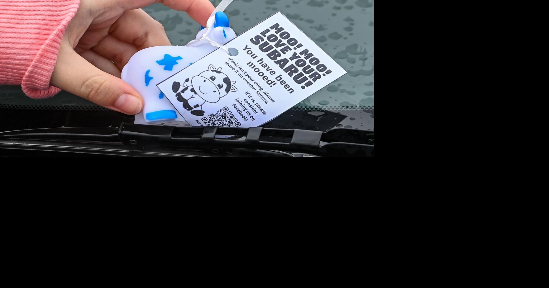 Moo Moo Subaru: Why some enthusiasts are putting cow figurines on cars ...