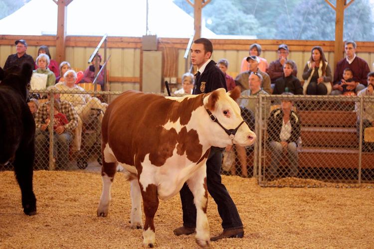 West Lampeter Fair going strong at 90 | News | lancasteronline.com