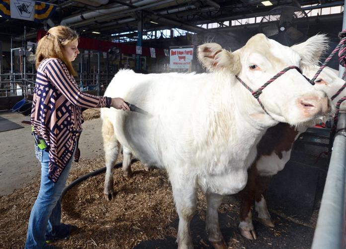 The Pa. Farm Show: A century-long tradition opens Saturday in ...